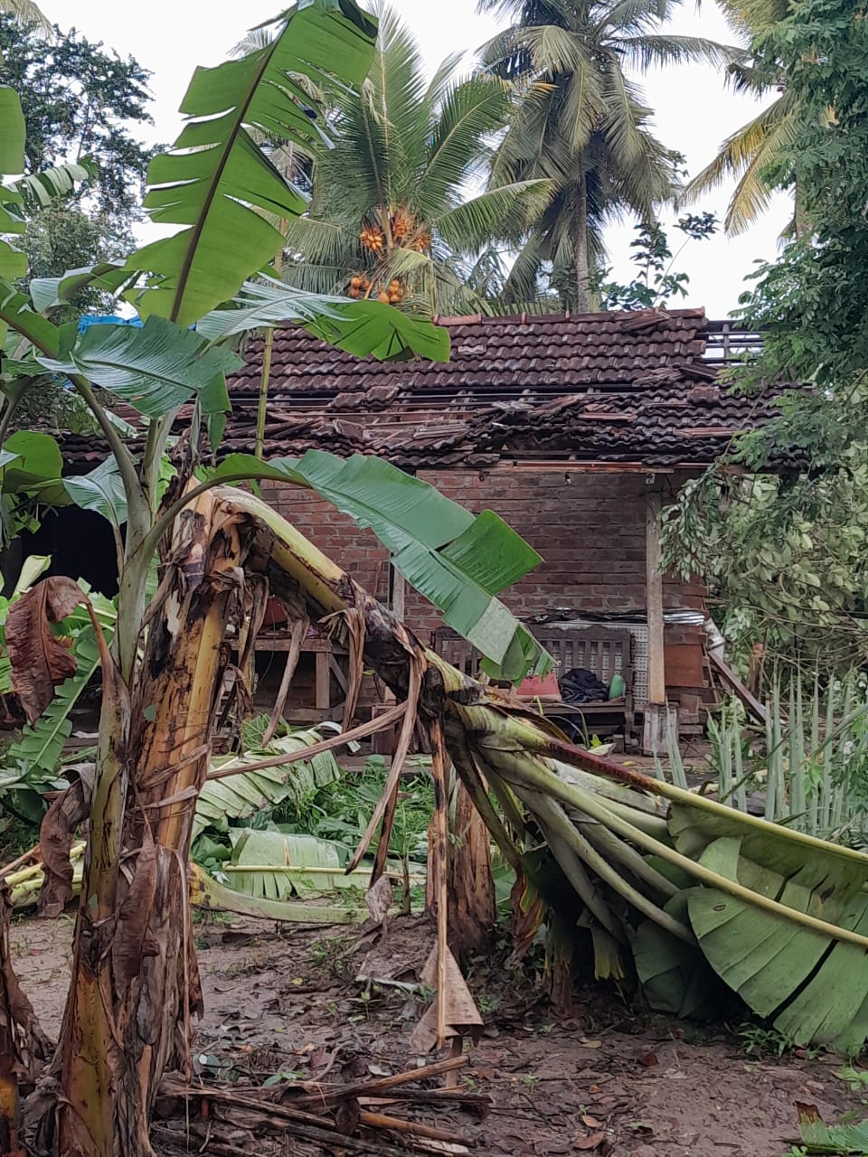 සුළි සුළඟකින් දාගොන්නේ ගෙවල් 50ක් කුඩු (වීඩියෝ) – CEYLONWIRE