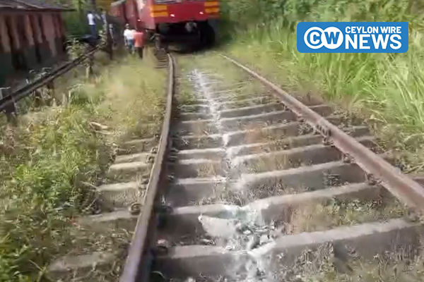 අලුත් අවුරුද්දේ නැරඹුම් මැදිරියක් නොමග ගිහිං(වීඩියෝ) – CEYLONWIRE