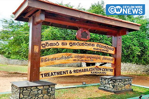 මහ කැළෑවේ වතුර විතරක් බිබී සැඟවී සිටි කන්දකාඩු රඳවියෙක් පොලිසියට කොටු ...