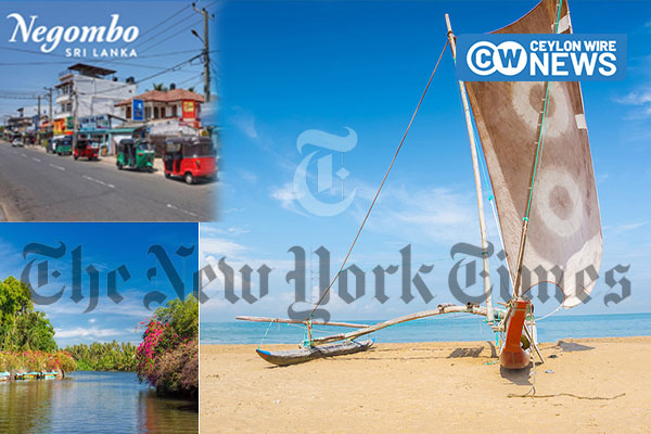 මීගමුව නිව්යෝර්ක් යයි – CEYLONWIRE