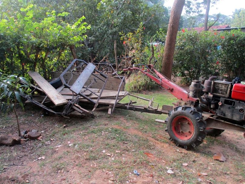 අලි සබ්‍රිත් අද පාන්දර හැප්පෙයි – CEYLONWIRE