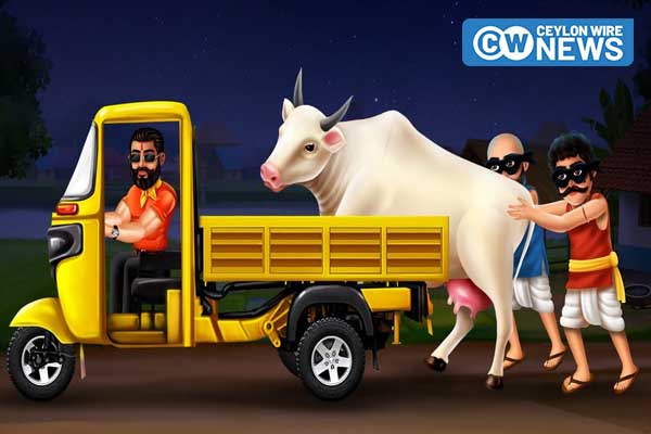 පශු වෛද්‍යයි තවත් තුනකුයි හරක් 20ක් හොරකම් කරලලු – CEYLONWIRE