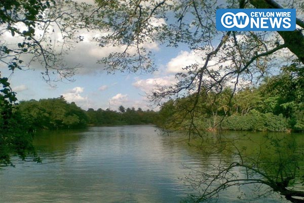 පෑවිල්ල නිසා බොන්න නාන්න වතුර අඩුවෙයි – කැළණි ගඟ හරහා ලවණ බාධකයක් ...