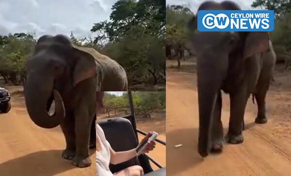 Gossip – CEYLONWIRE