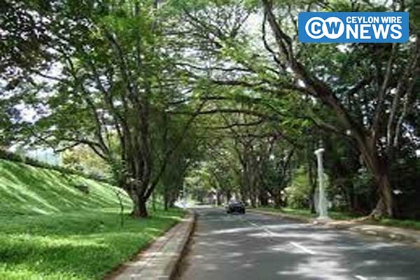 ගලහා මාර්ගය මාස 06කට වසාදැමේ – CEYLONWIRE