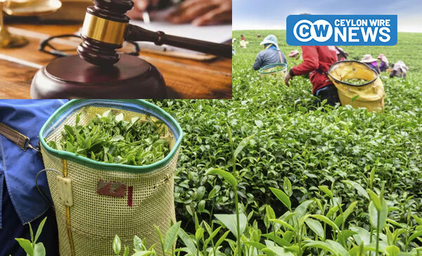 Local – CEYLONWIRE