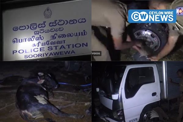 හොර හරක් ලොරියකට පොලිසියෙන් වෙඩි (වීඩියෝ) – CEYLONWIRE