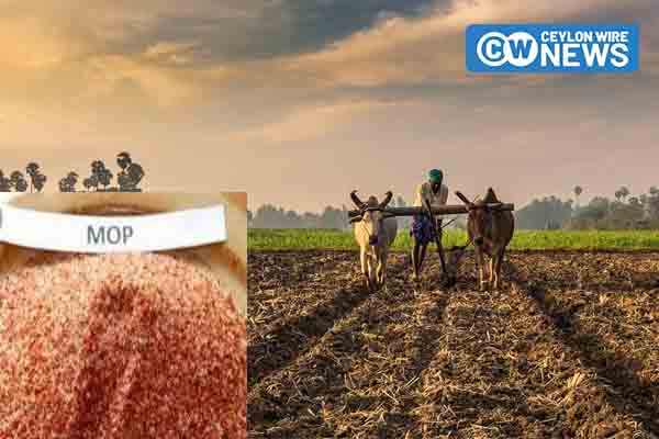 MOP පොහොර මෙට්‍රික් ටොන් 55,000ක් අද කොළඹ වරායට එයි – CEYLONWIRE