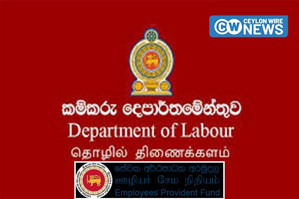 EPF එකේ රෙජිස්ටර් වෙන්න හැමෝටම අලුත් අංකයක් – CEYLONWIRE
