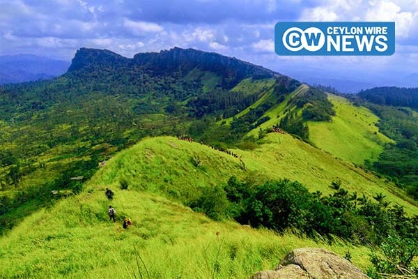 හන්තානේ වන සංහාරයක් කළා යැයි වතු අධිකාරිවරයෙක් සහ කොන්ත්‍රාත්කරුවෙක් රිමාන්ඩ් – CEYLONWIRE