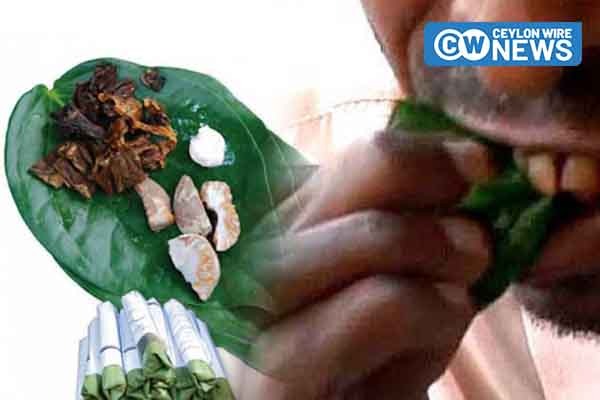 බුලත් – දුම්කොළ සම්බන්ධ පිළිකා නිසා දවසකට ලංකාවේ 3 දෙනෙක් මැරෙනවලු – CEYLONWIRE