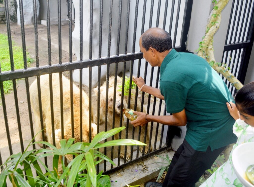 සතුන්වත්තේ ඉන්න පරණම එක්කෙන්නාටයි අලුත්ම එක්කෙනාටයි වෙනසක් නැතුව නැකැතට හිසතෙල් ගායි – CEYLONWIRE
