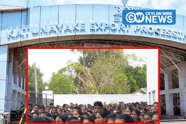 කටුනායක ගාමන්ට් ෆැක්ටරි එකක් හදිසියේ වසාදමයි-සේවකයෝ 1400ක් මහපාරට වැටෙයි – CEYLONWIRE